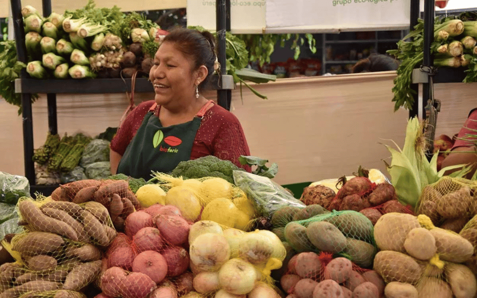 Lima Food Experience with local Markets & Barranco Tour | GetYourGuide