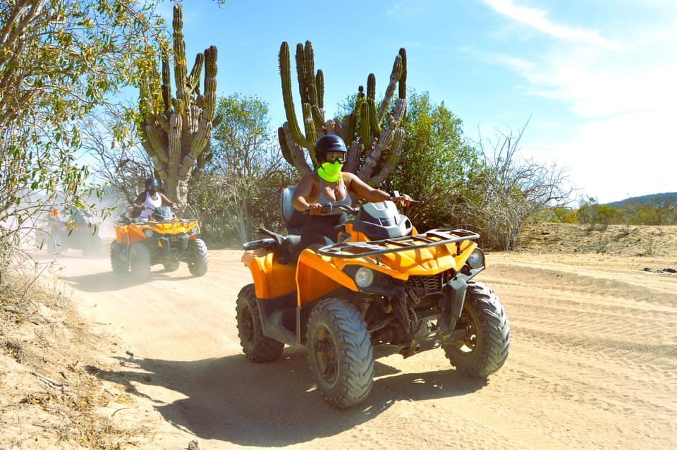 Cabo San Lucas: Migriño Beach & Desert ATV Tour | GetYourGuide