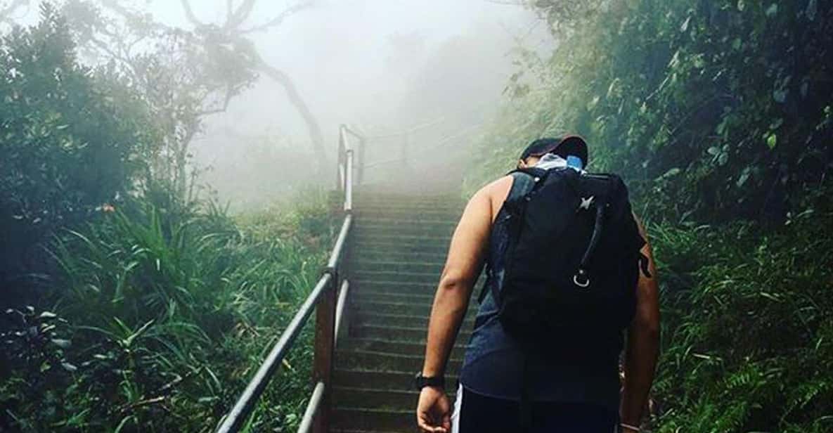 From Colombo: Adam's Peak & Waterfall Overnight Trek | GetYourGuide