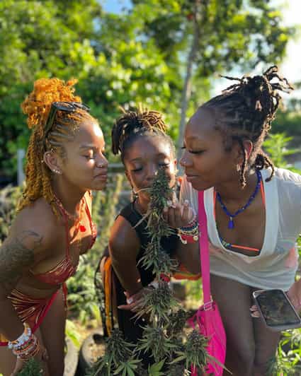 D Boss Farm, Bamboo Rafting and Limestone Foot Massage Tour | GetYourGuide