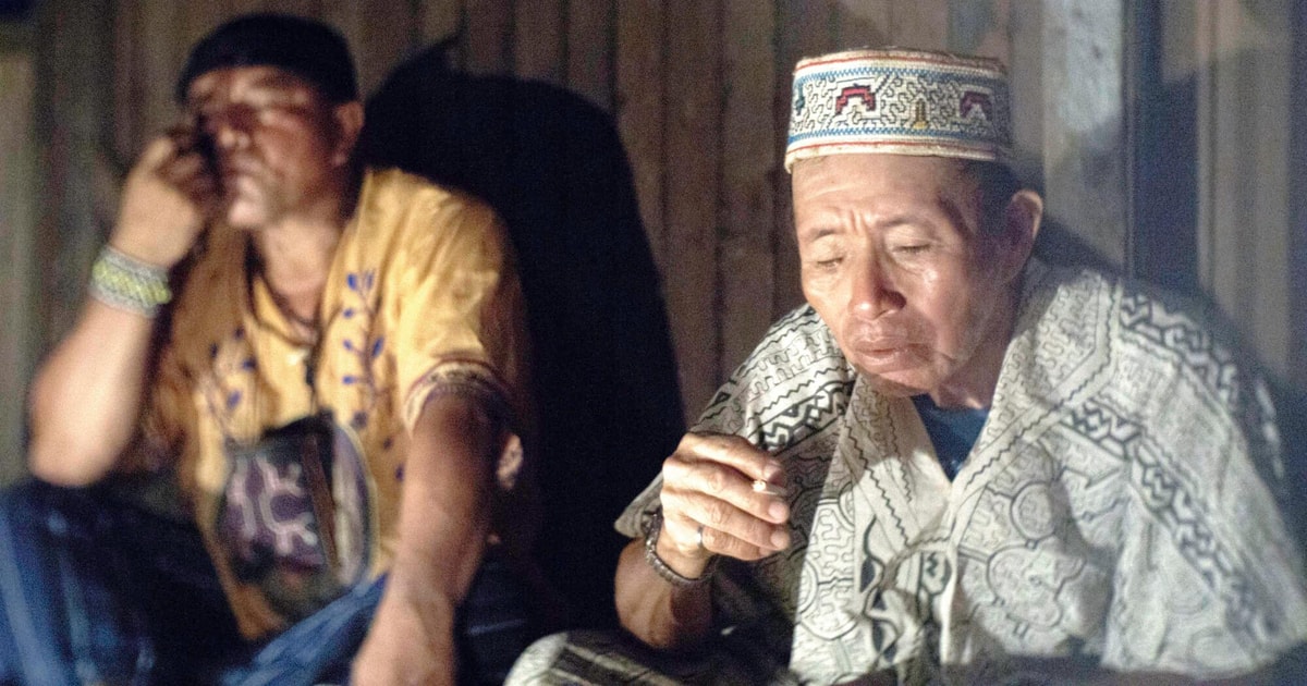 Retiros de Wachuma (San Pedro) y Ayahuasca, 7 días | GetYourGuide