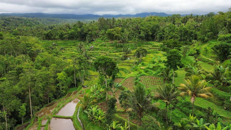 Lombok: Tour Tetebatu Rijstterras & Benang Stokel Waterval | GetYourGuide