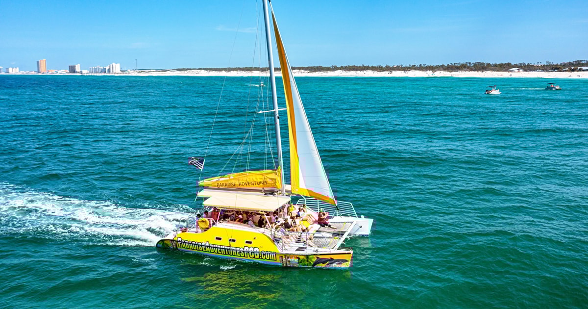 Shell Island: Snorkel & Dolphin Tour on Footloose Catamaran | GetYourGuide