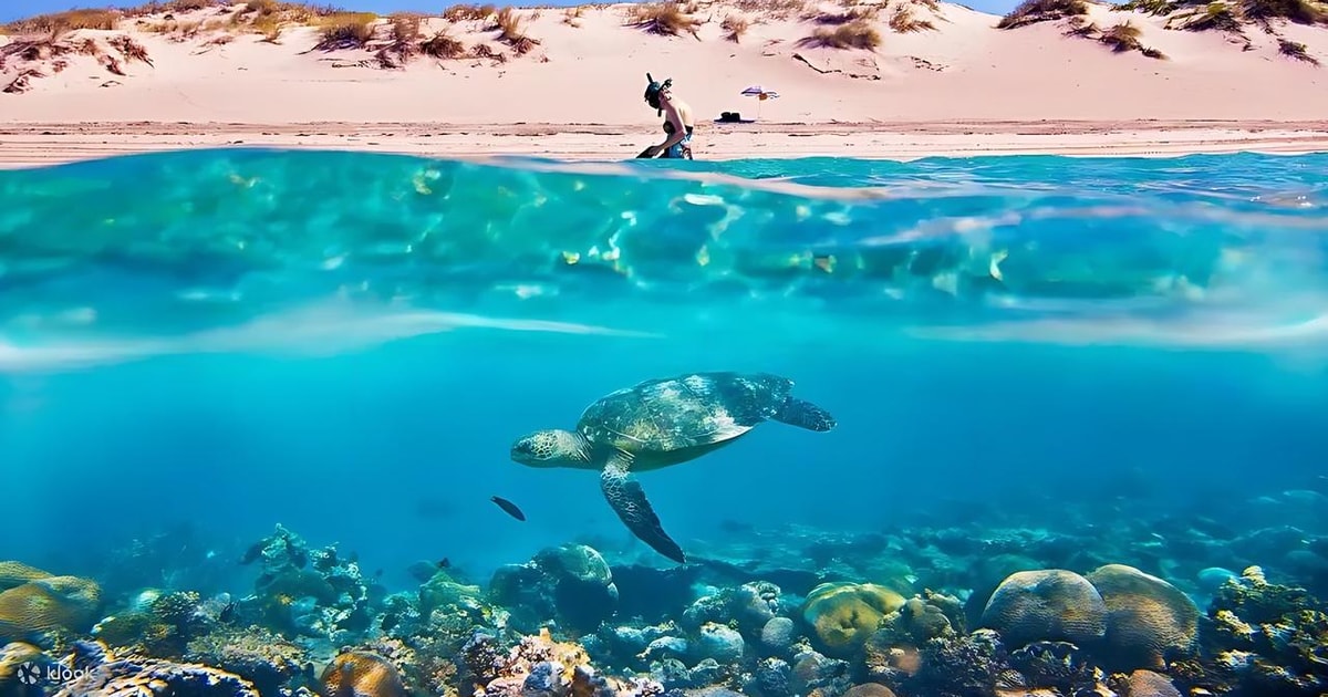 Hurghada: Giftun Island Tour med snorkling og vandsport | GetYourGuide