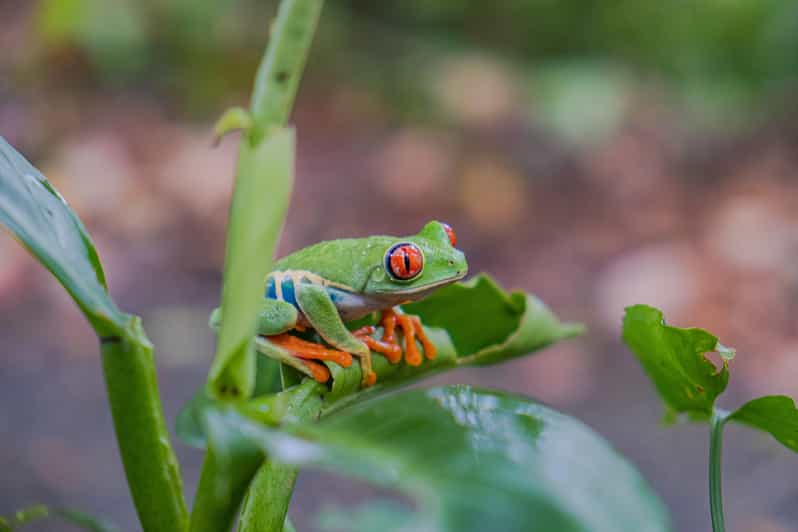 Admission au parc Natura Eco : Sanctuaire de la faune | GetYourGuide