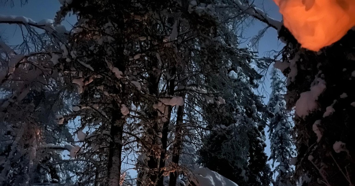 Levi: Winter Northern Lights Adventure | GetYourGuide