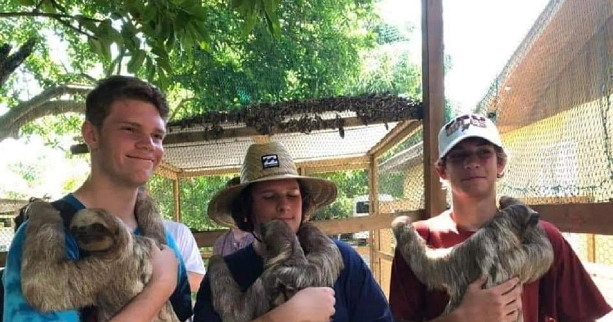 Daniel Johnson Luiaards + Strand & Eiland Tour | GetYourGuide