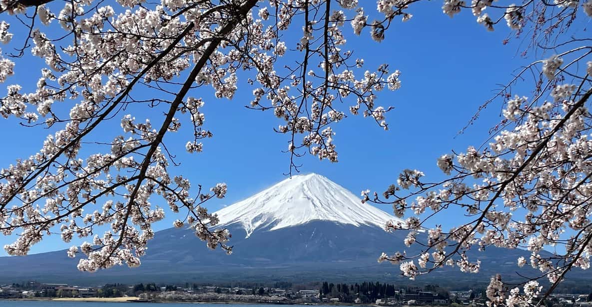 Tokio: Planina Fuji & Hakone privatni dnevni obilazak | GetYourGuide
