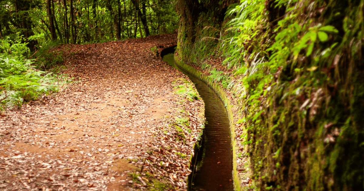 Madeira: PR 18 - Levada do Rei Hike with Transfers | GetYourGuide
