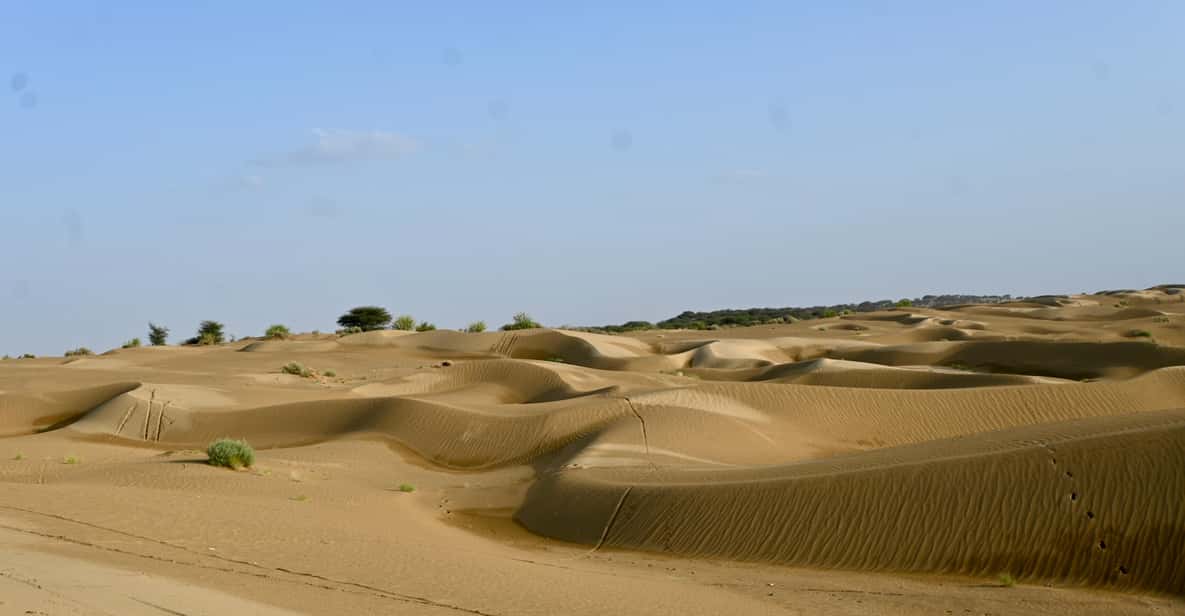 Jaisalmer: Sam Sand Dunes Sunset Tour with Camel Ride | GetYourGuide