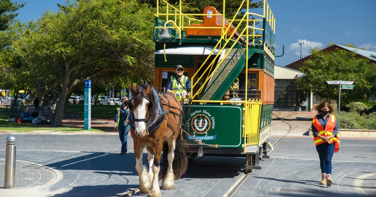 Fleurieu Peninsula: A Memorable Journey | GetYourGuide