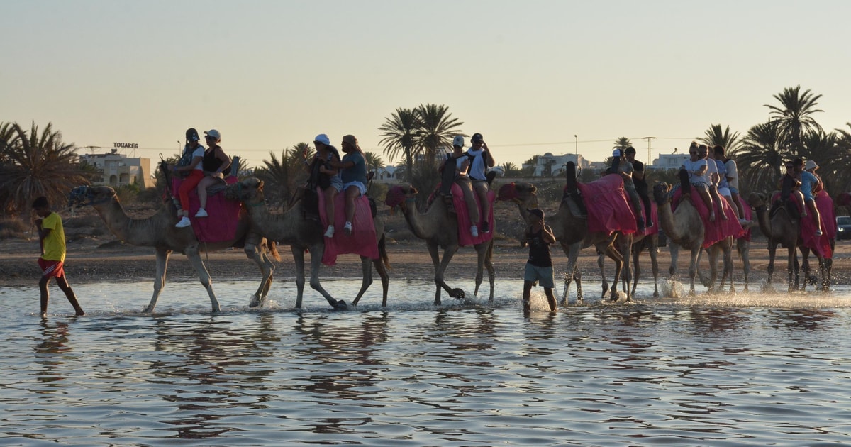 Djerba 2,5 uur paard- en kamelenrit – Top Djerba Tour | GetYourGuide