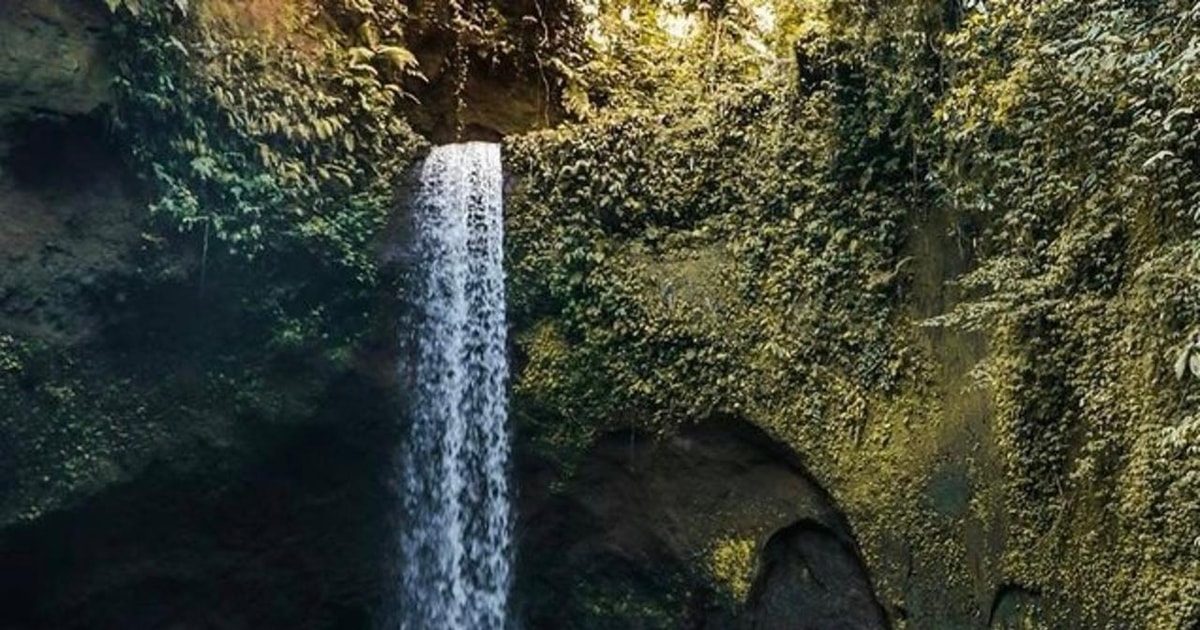 Ubud: Waterfalls, Water Temple, & Rice Terrace - Day Tour | GetYourGuide
