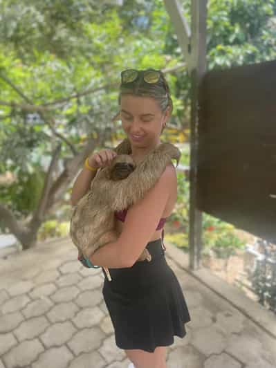 Roatan: Zipline, Sloths & Monkeys hang out plus Island Tour | GetYourGuide