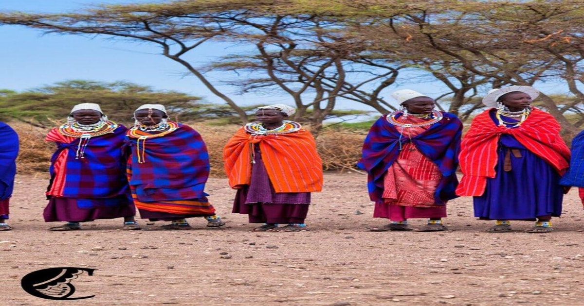 Tanzania : Maasai Tribe Cultural Tour | GetYourGuide