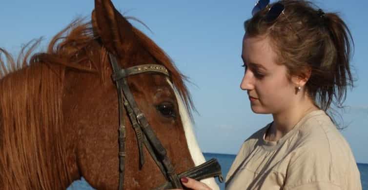 Hurghada : Two Hours Sun & Sea Horse Riding With Transfers | GetYourGuide