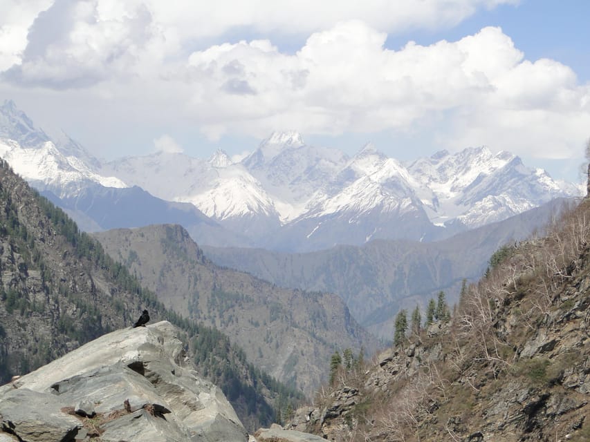 Guided Day Hike to Birni Devi Temple from Palampur | GetYourGuide