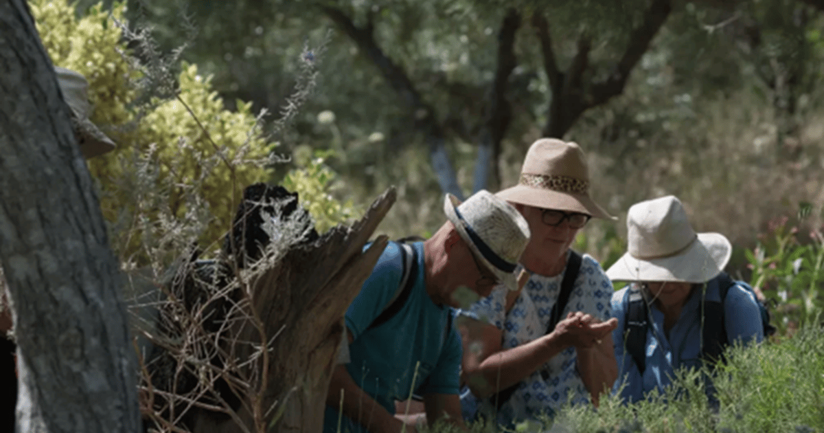 Chania Safari & Botanical Garden – Nature & Aromas Tour | GetYourGuide