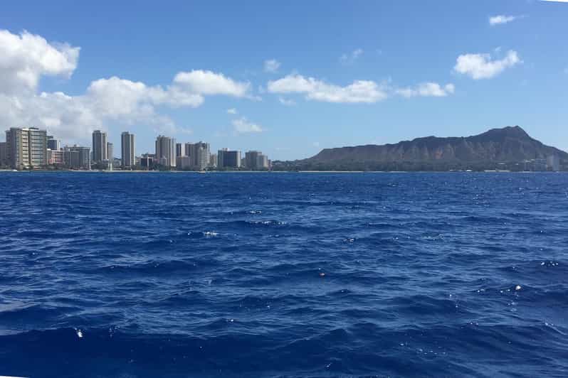 Oahu: Highlights of Oahu Small Group Tour | GetYourGuide