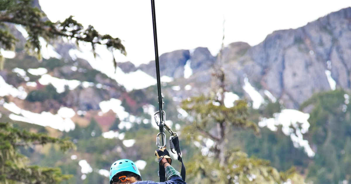 Juneau: Alpine Zipline Adventure | GetYourGuide