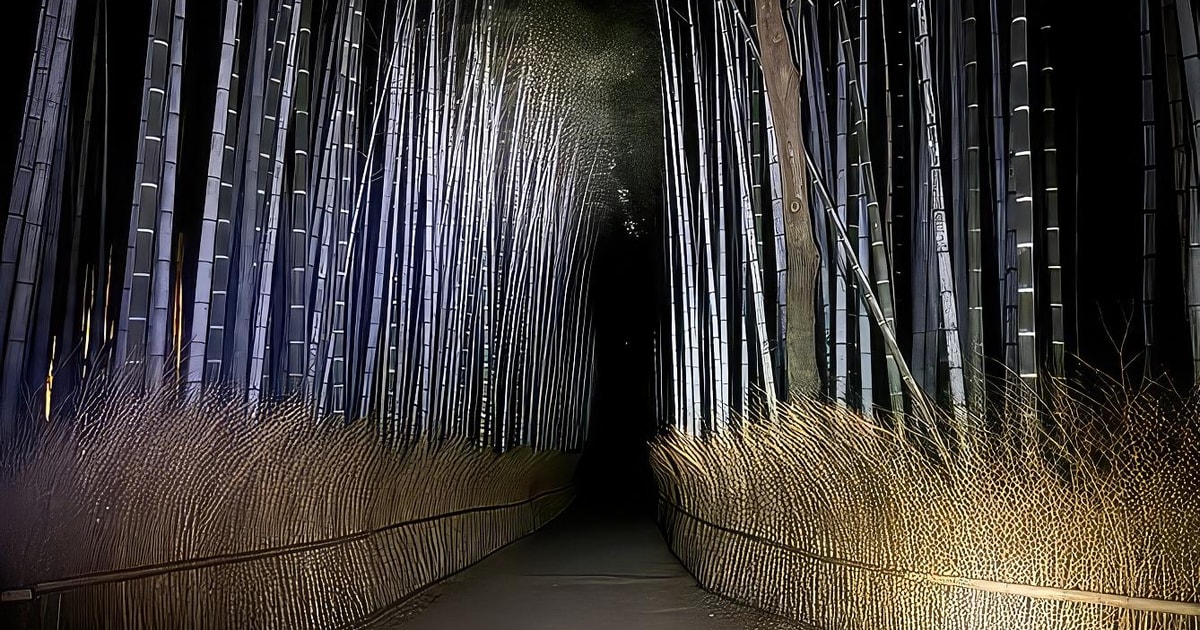 Kyoto Ghost Tour: Bamboo, Unsolved Mysteries & Dark Tales | GetYourGuide