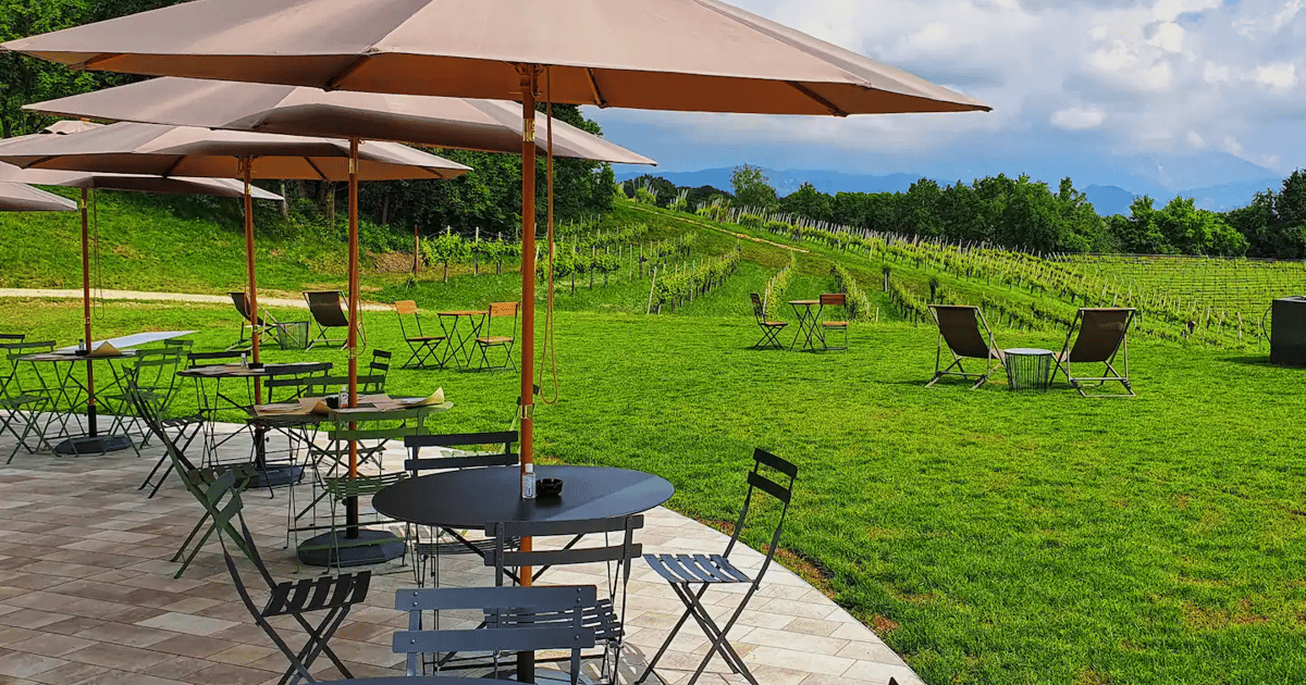 Conegliano: Tour durch die Prosecco-Hügel und -Weinberge | GetYourGuide