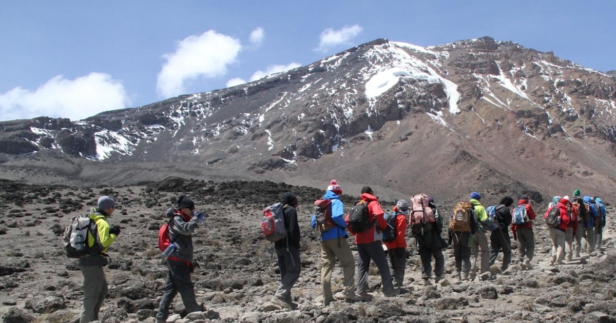 8days Mount Kilimanjaro Climbing – Lemosho Route | GetYourGuide