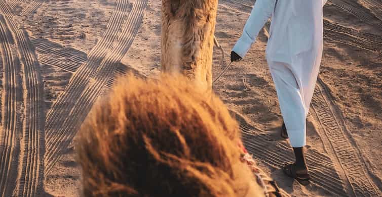 Private-Doha Half Day Desert Safari/Sand Boarding | GetYourGuide