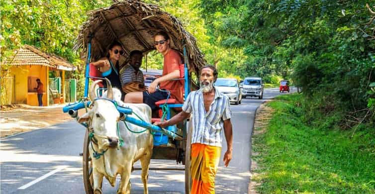 Ella: Sigiriya Rock, Dambulla Temple & Village Safari | GetYourGuide