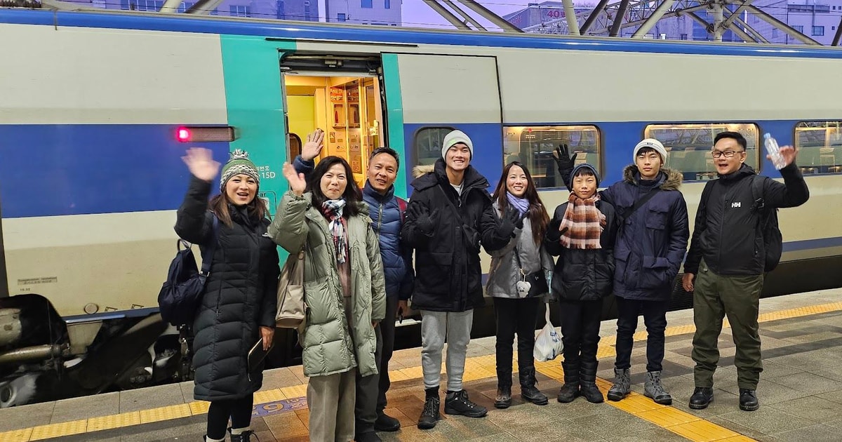 Busan private full day tour by KTX from Seoul | GetYourGuide