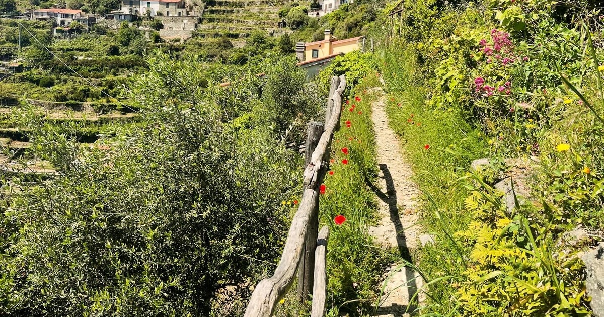 Monesteroli and the Hidden Gems of 5 Terre: Geo Trek Loop | GetYourGuide