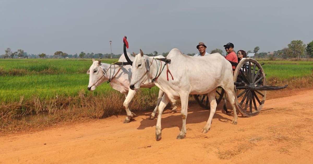 Siem Reap: Authentic Village Tour with Ox Cart Ride | GetYourGuide