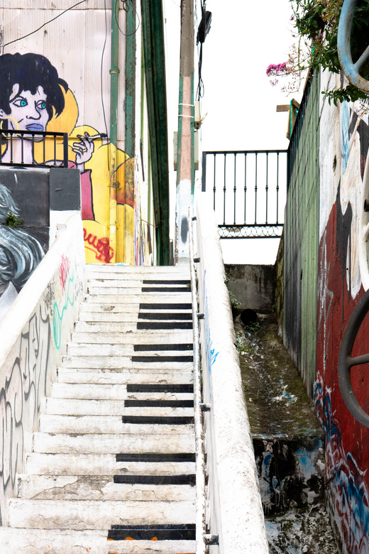 Valparaíso & Viña: Colors, History, and Ocean Wonders! | GetYourGuide