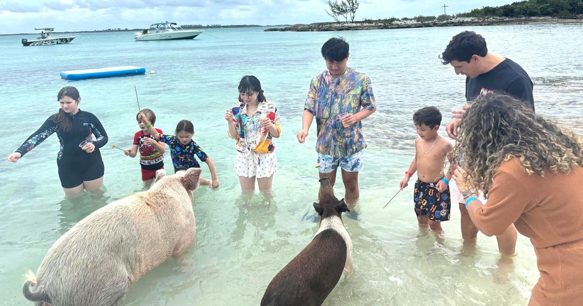 La mejor aventura en Nassau: cerdos, motos acuáticas y snorkel ...