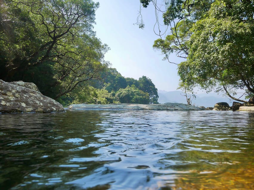 Knuckles Mountains : Infinity Pool and Doowili Ella Trail | GetYourGuide