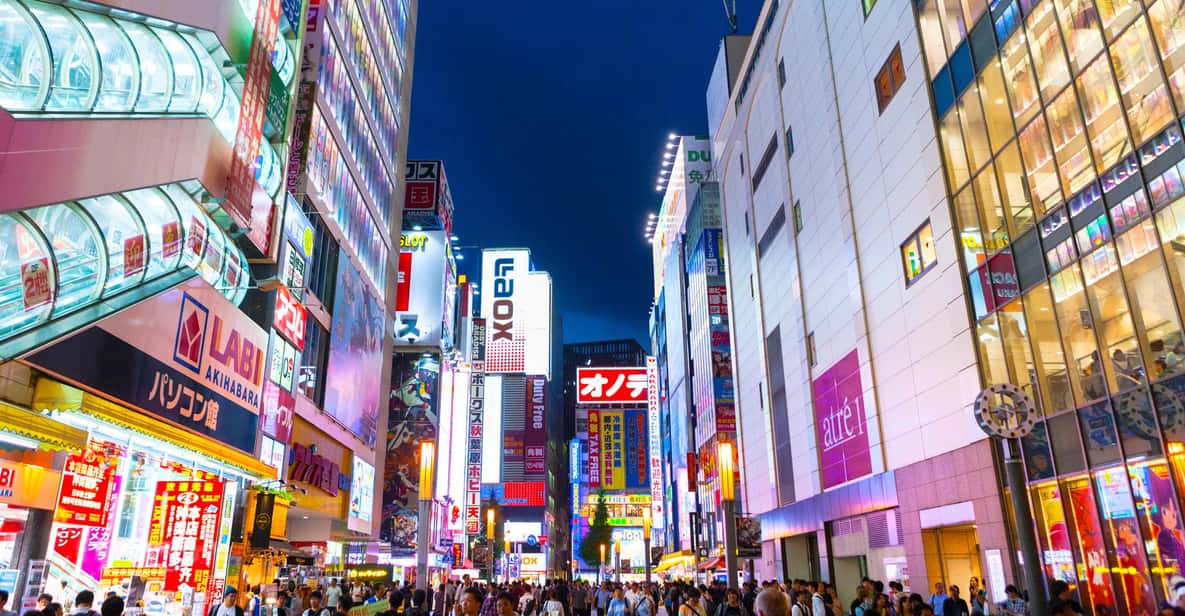 Tokyo Family Fun: Meiji Shrine ja Sanrio Puroland Tour: Meiji Shrine ja ...