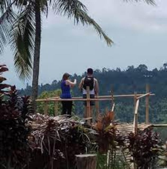 Bali: Hill Side Lemukih Treeking with Amazing view | GetYourGuide