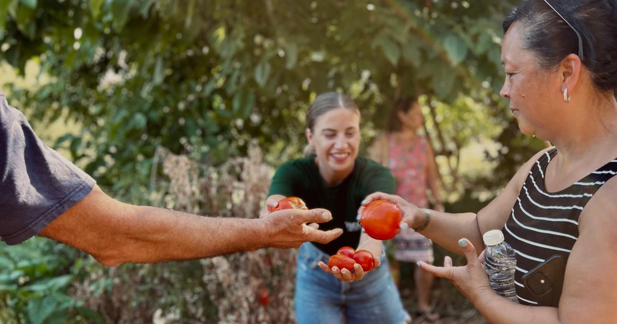 Chania Area: Cooking Class at a Farm in Stylos Village | GetYourGuide
