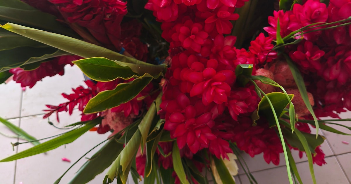 Port Vila: City Highlights Tour with Local Snacks | GetYourGuide