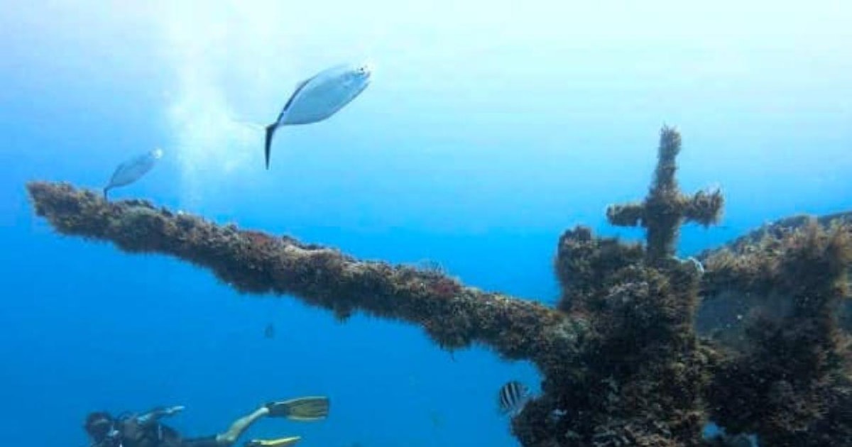 Puerto Morelos: C-56 Shipwreck & Reef Exploration | GetYourGuide