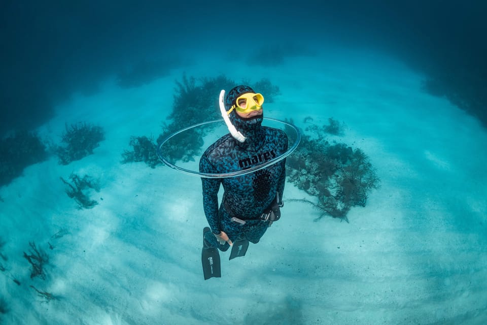 Try Free Diving in the Island of the Big Blue | GetYourGuide