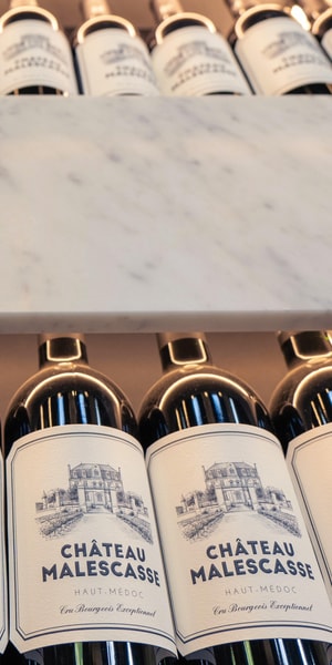 From Bordeaux: Afternoon Wine Tasting in the Medoc Region | GetYourGuide