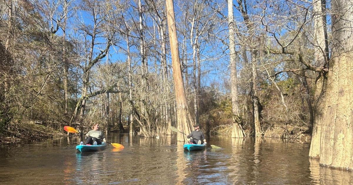 Honey Island Swamp Kayak Tour | GetYourGuide
