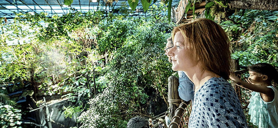 Entry Ticket To Universeum in Gothenburg with pickup | GetYourGuide