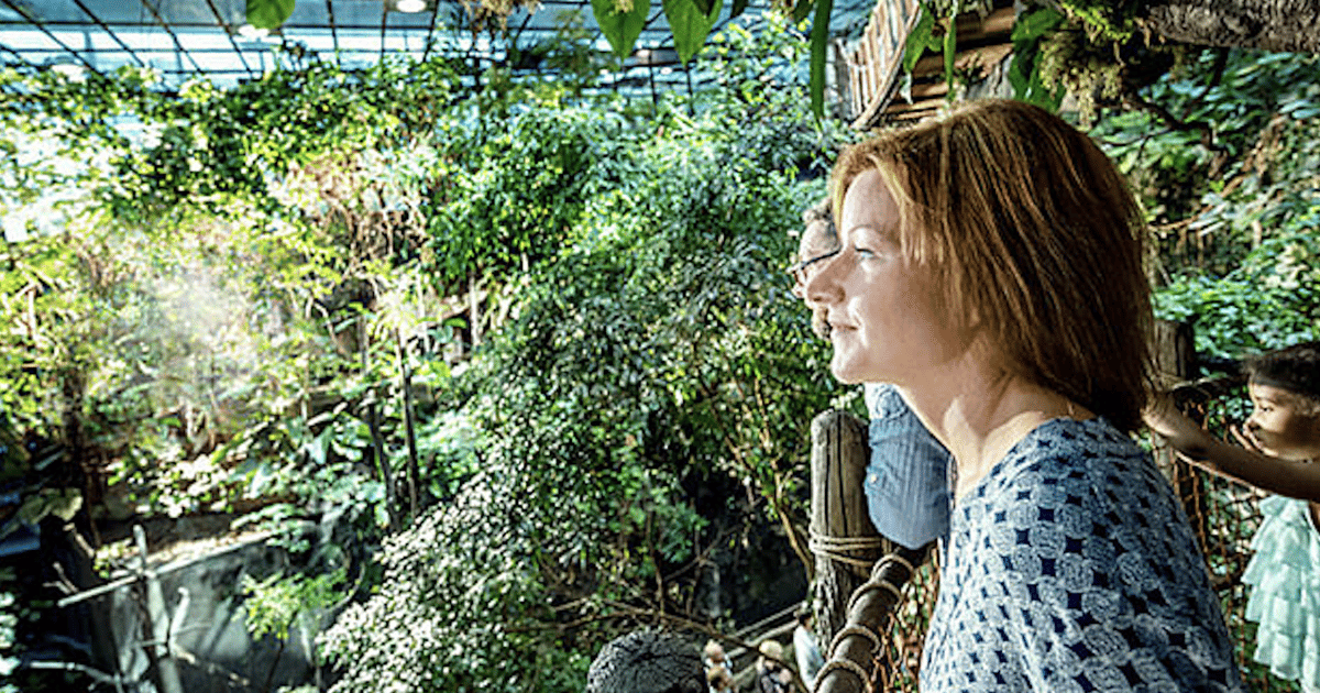 Entry Ticket To Universeum in Gothenburg with pickup | GetYourGuide