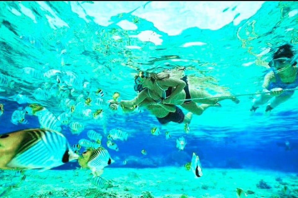 From bali : Blue lagoon Snorkeling , monkey forest,waterfall | GetYourGuide