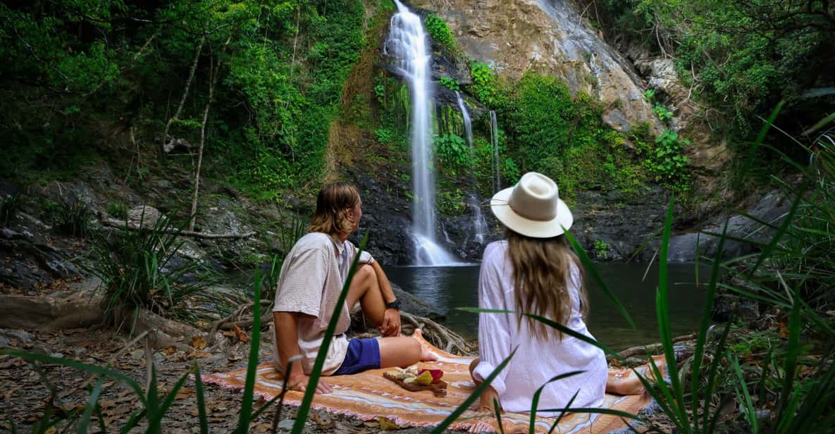 From Port Douglas: Daintree Sensations Food & Waterfall Tour | GetYourGuide