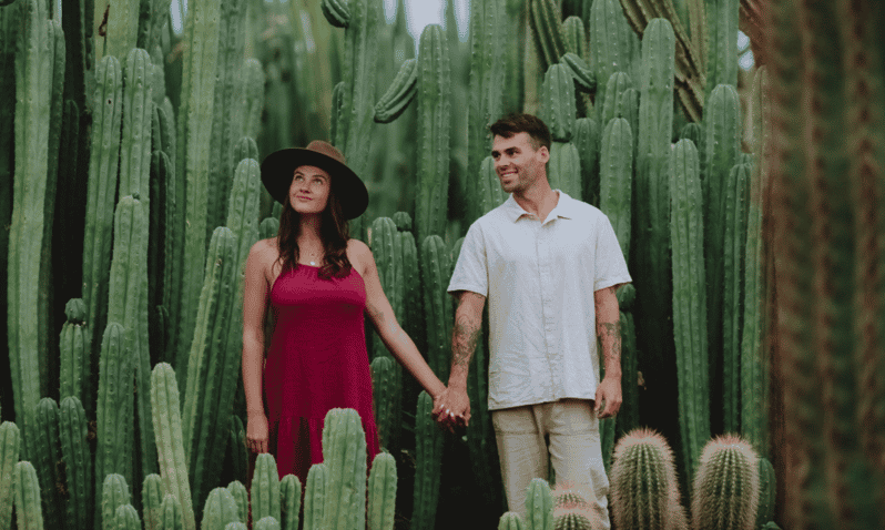 Cactus Country: Entry Ticket | GetYourGuide