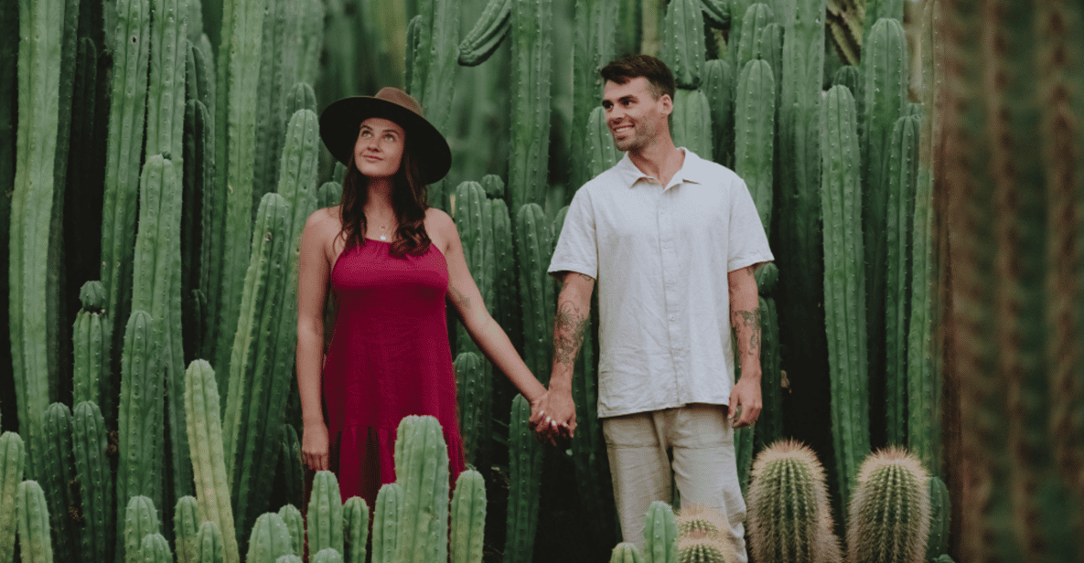 Cactus Country: Entry Ticket | GetYourGuide