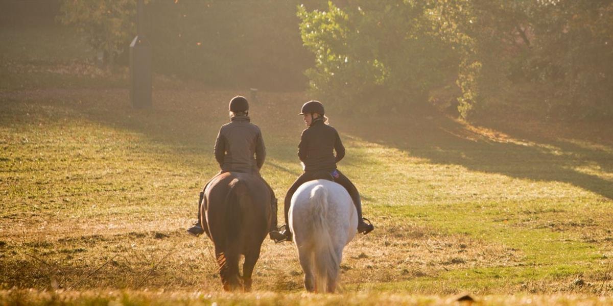 Windsor: Private Horse Riding Tour in Great Park | GetYourGuide